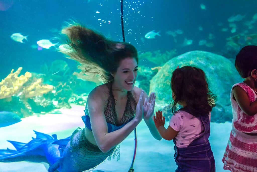 Event - Mermaid Magic - Arizona Parenting Magazine